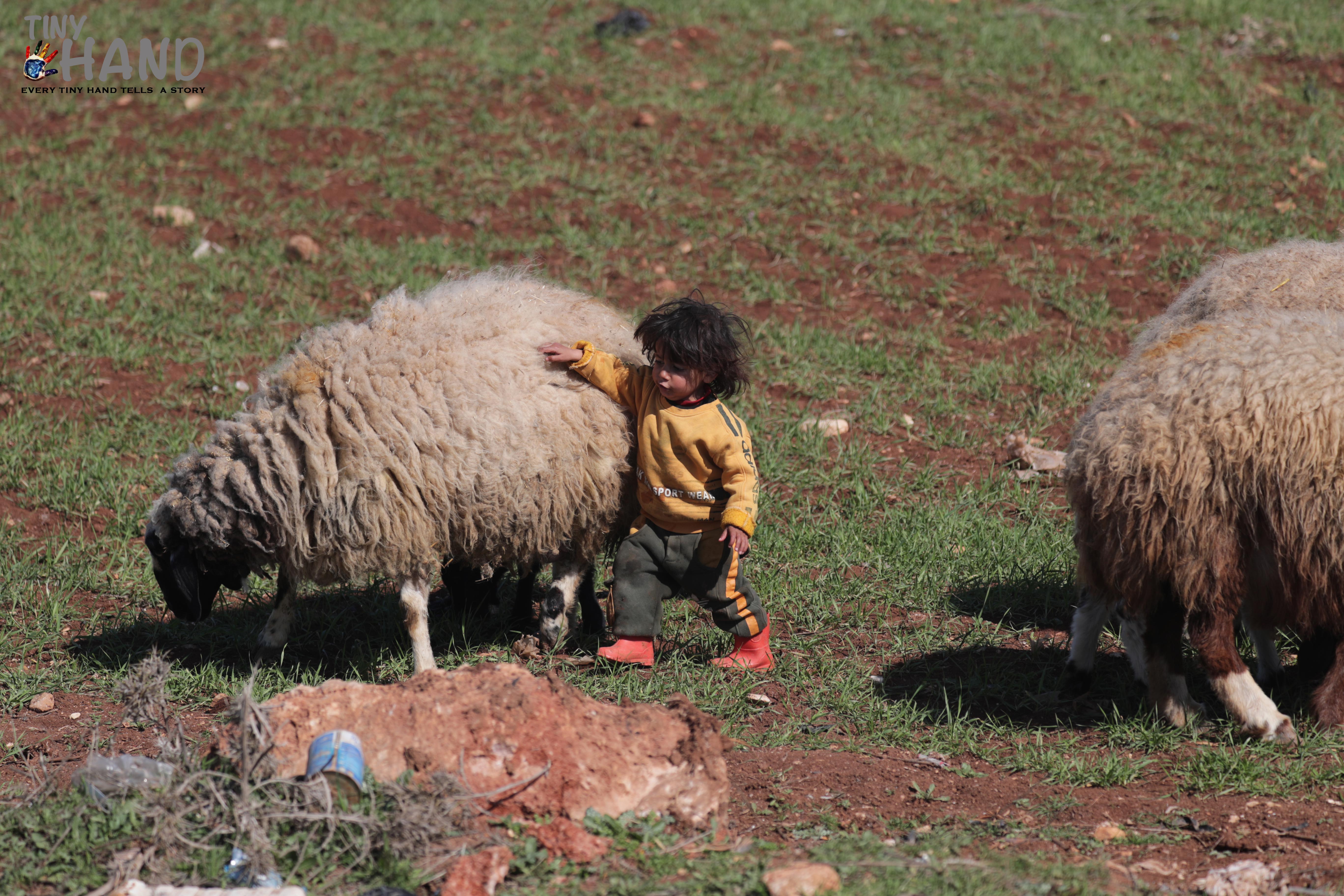 Home [www.frontlineinfocus.com]